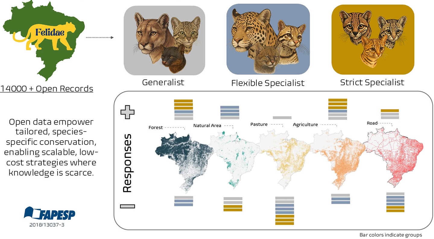 Brazil's Wild Felids Face Change
